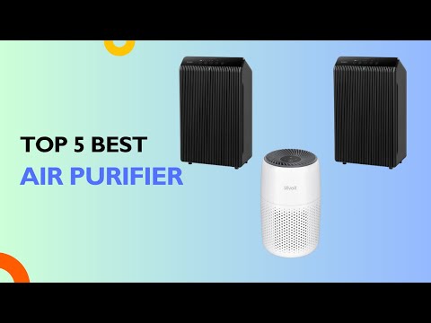 Top 5 Best Air Purifier For Smell