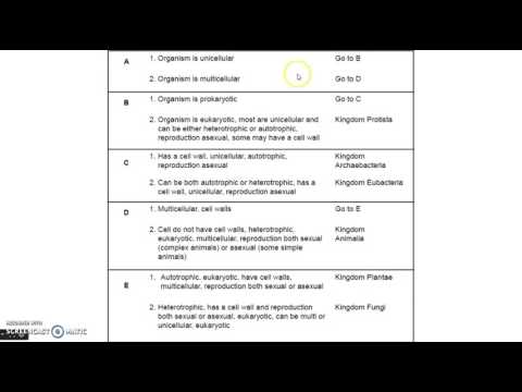 dichotomous key