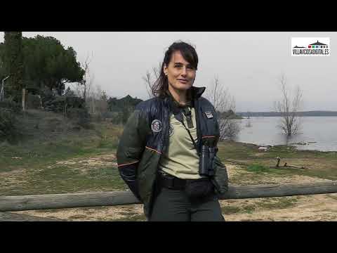 ¿Cómo es día a día de una Agente Forestal en la Comunidad de Madrid?