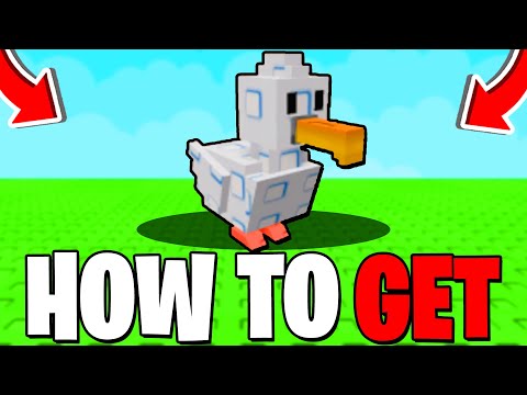 How To GET SEAGULL PET & SHOWCASE In Grow A Garden! Roblox