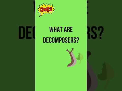 Quiz: What are decomposers? #shorts