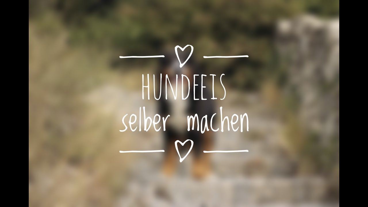 DIY Hundeeis ♡ | herzensberner
