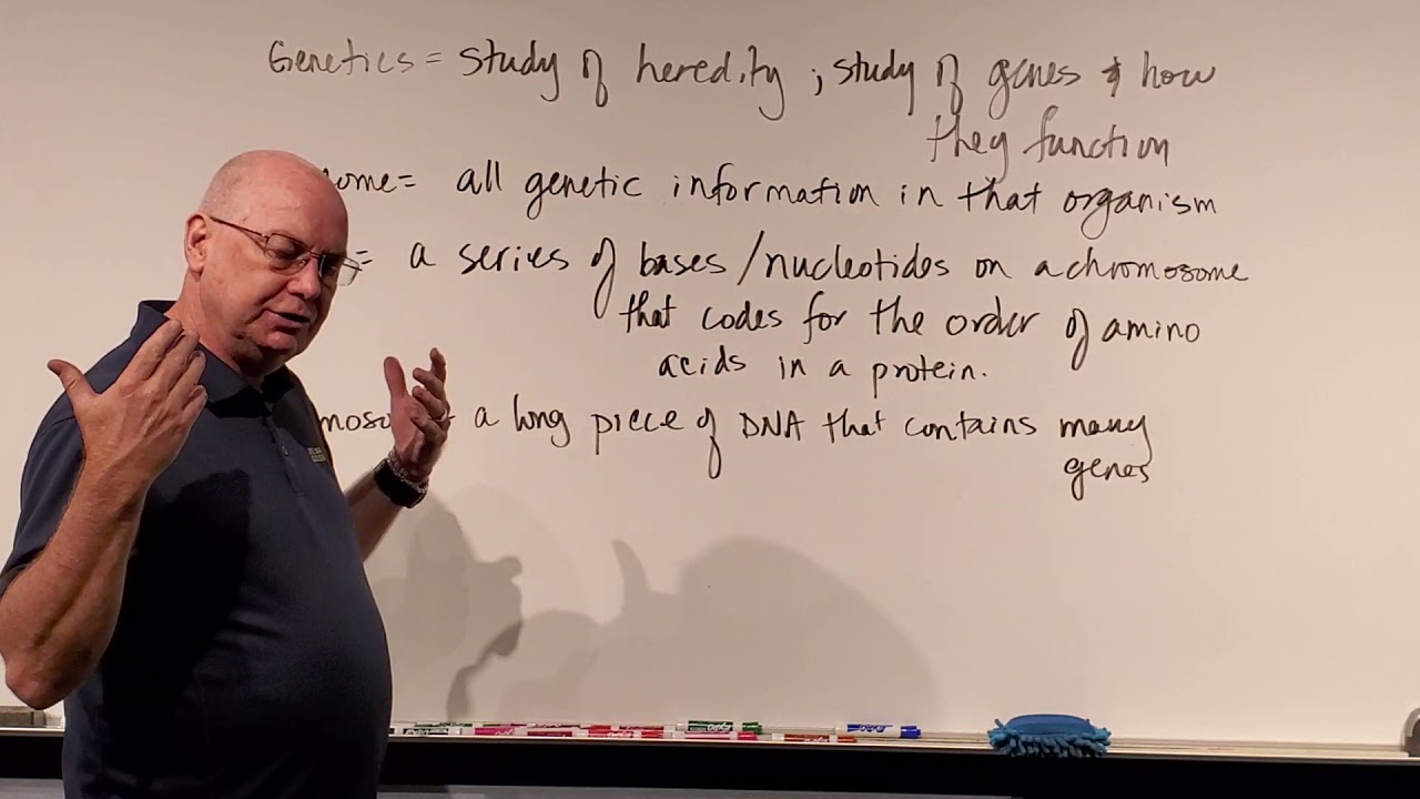 Micro Chapter 8:  DNA Basics and Definitions