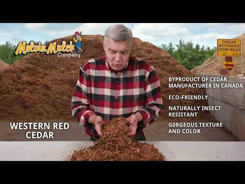 Melvin Mulch Western Red Cedar