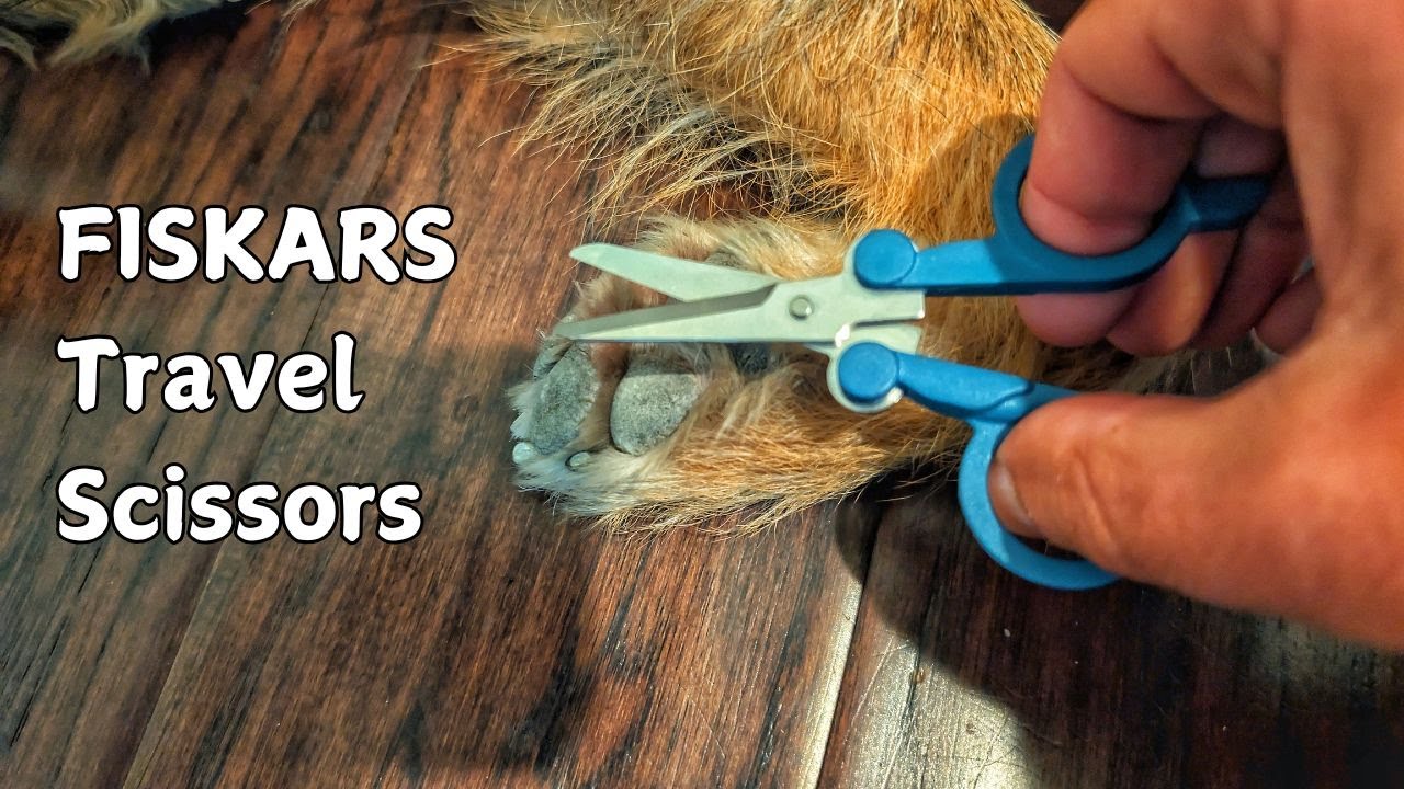 FISKARS Folding Travel Scissors - First Impressions & Quick Review