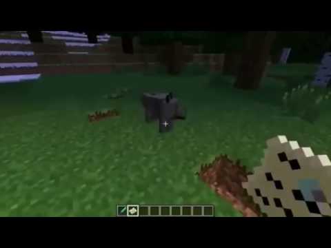 DANTDM said Crazy Son of A B!tch