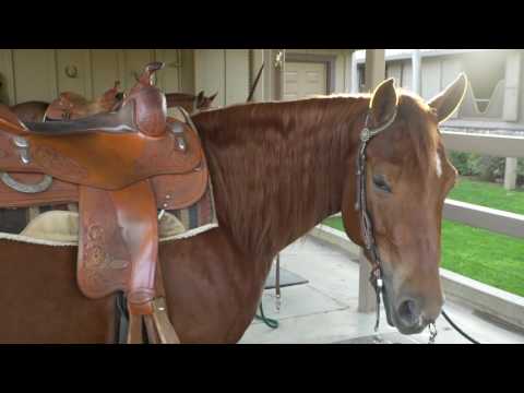 EXCLUSIVE TOUR of the $3,295,000 Bellini Ranch