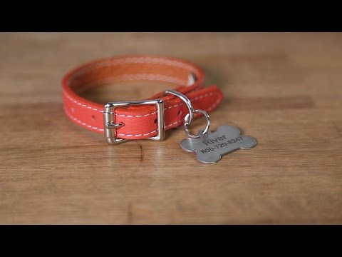 How To Attach A Hanging ID Tag Onto A Dog Collar
