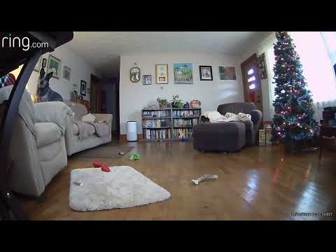 Chris Caught Via Ring Camera!