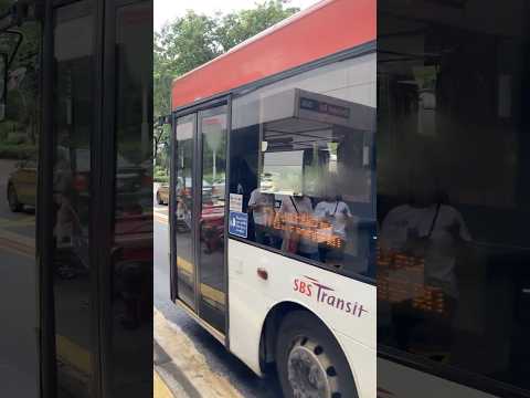 #Scania #K230UB (Euro IV, Batch 1) 🚌 Departing from Bus Stop 🚌 - #sbstransit #bus #shorts
