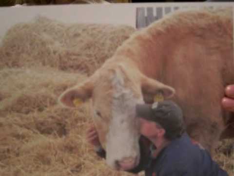 Cowboy song, "Cowboys Dream"