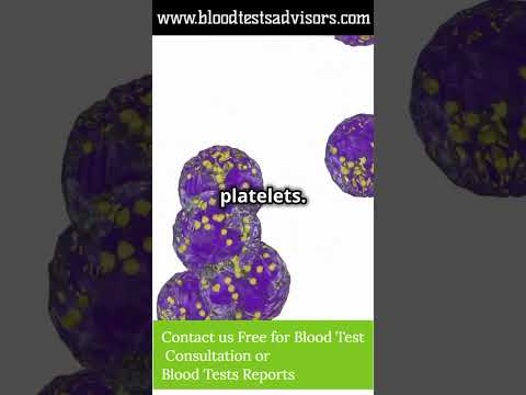 What’s in your blood? 🧐 Learn about its components—watch us on Bloodtestsadvisors.com
