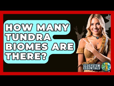 How Many Tundra Biomes Are There? - Ecosystem Essentials