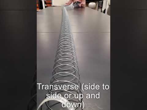 Longitudinal and Transverse Wave Examples