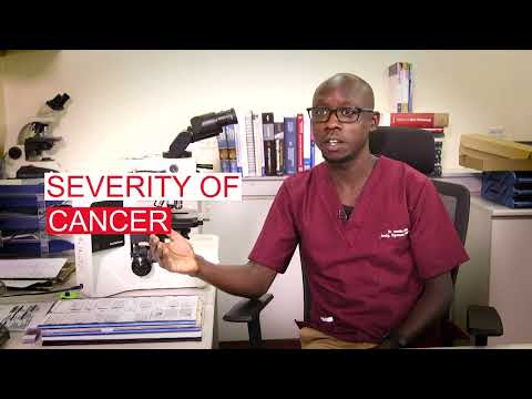 The Role of an Anatomical Pathologist in Cancer Diagnosis