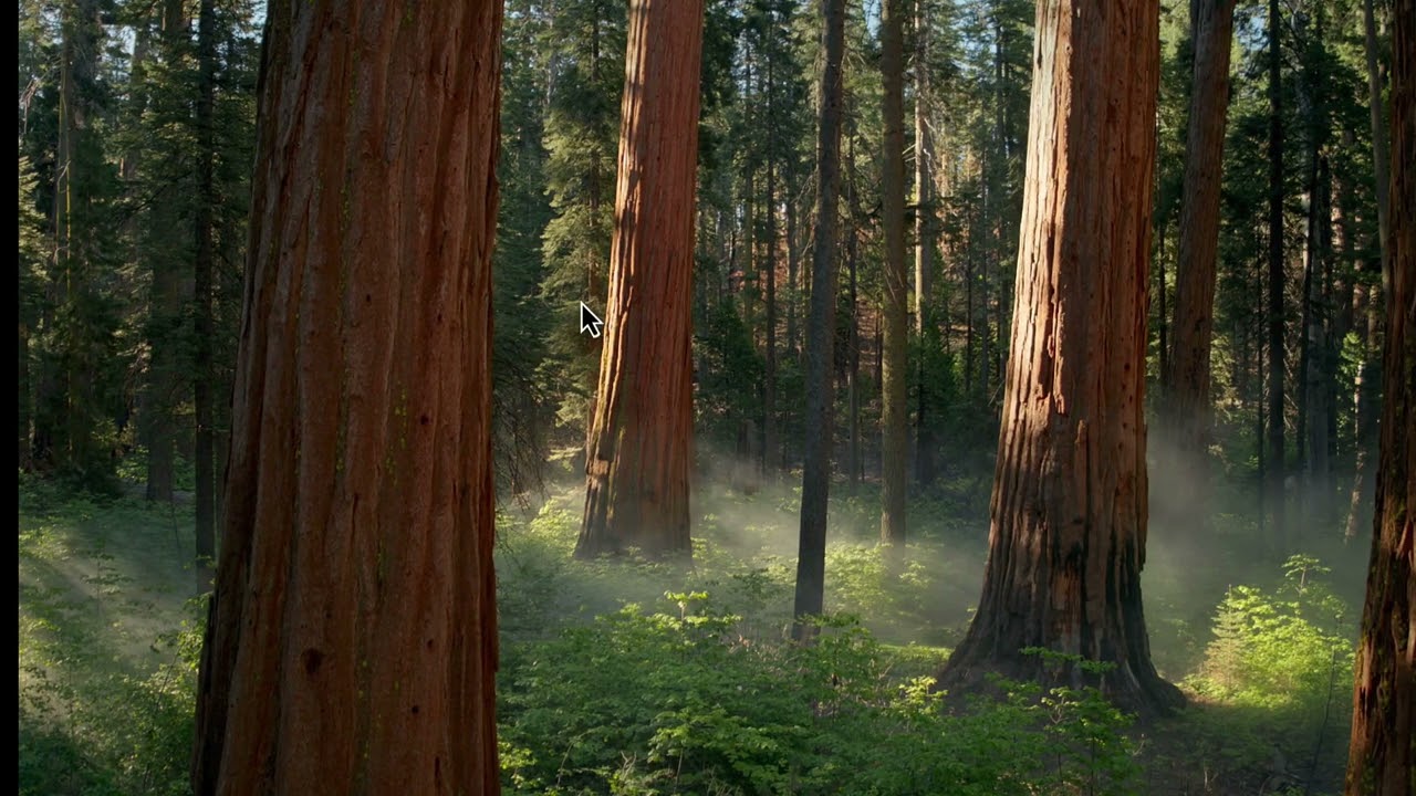 Lesson 11- Core concepts: Documents