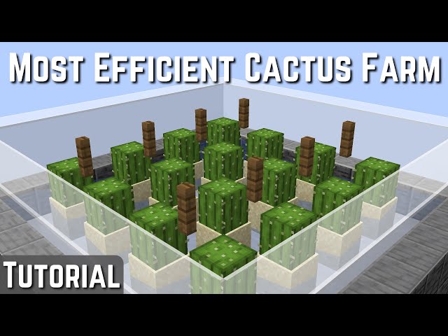 How to make a simple cactus farm in Minecraft