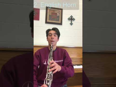 Who would win: Oboe and English Horn? #music #shorts #oboe #englishhorn #mozart