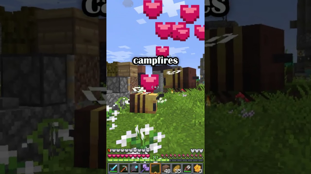 Bees in Minecraft Survival Tutorial