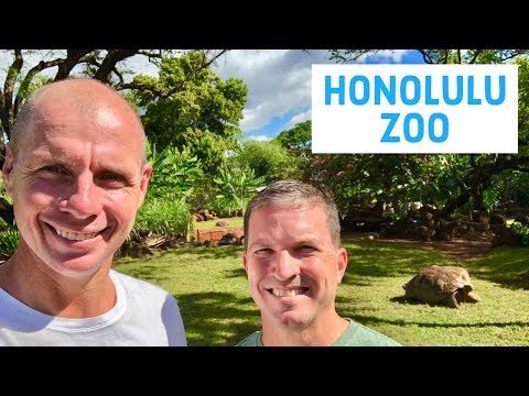 Should YOU visit the Honolulu ZOO?