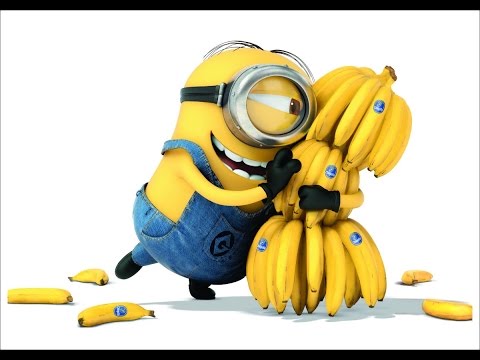 Biomassa de Banana Verde