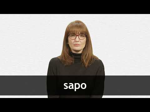 English Translation of “SAPO” | Collins Spanish-English Dictionary