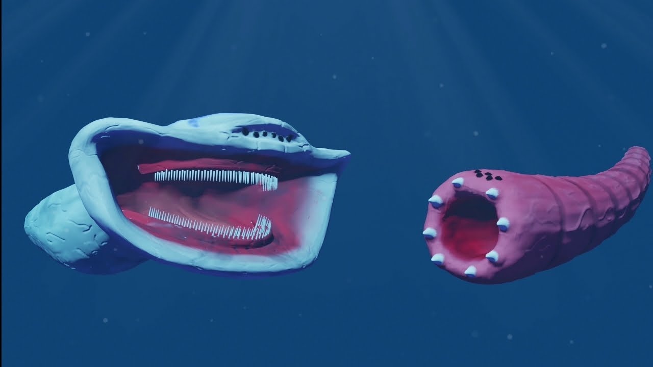 el gran maja vs worm, new evolution