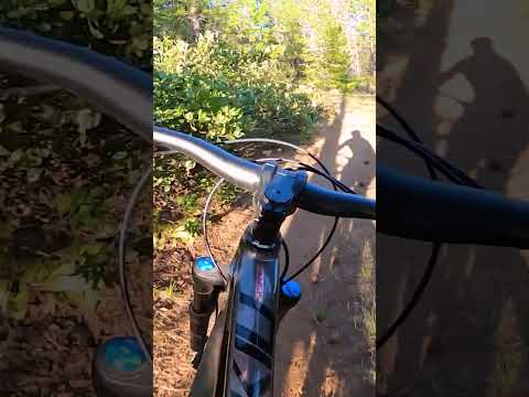 Top 3 Beginner Mountain Bike Tips!