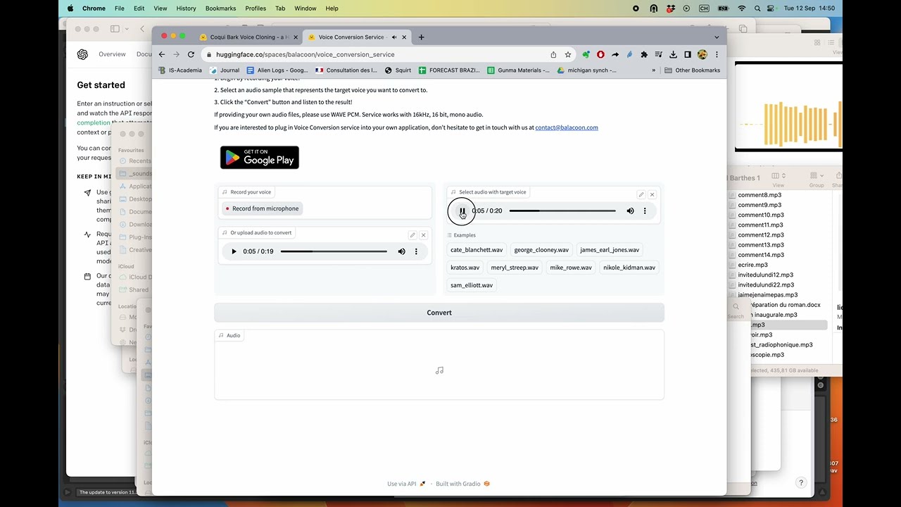 13b Huggingface Voice Conversion