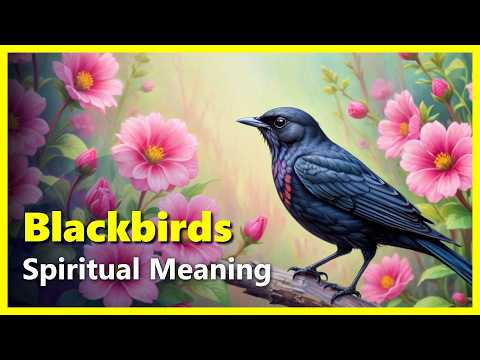 Spiritual Meaning of Blackbirds