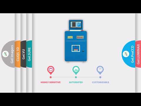 Gel Documentation System - Gel Imaging System Latest Price ...