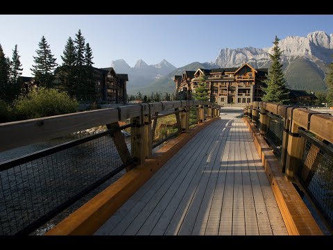 Spring Creek Live Stream