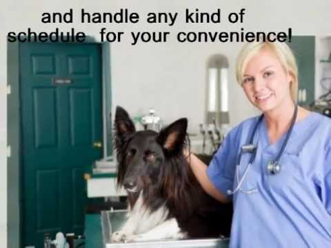 Emergency Vet Cleveland 24 Hour Pet Clinic - (216) 452-9107