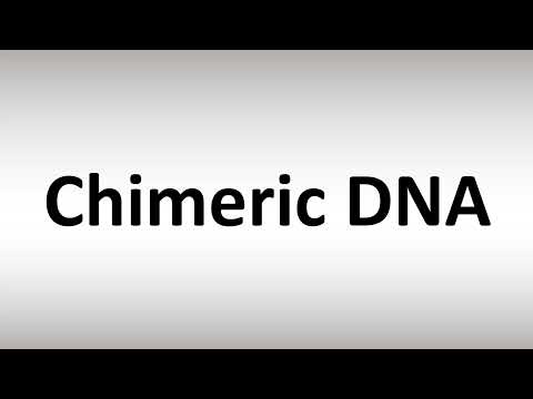 How to Pronounce Chimeric DNA
