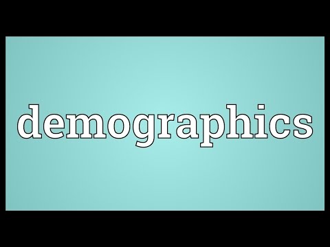 Demographics Meaning