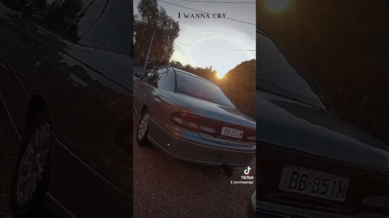 girlfriend new vt commodore 😍