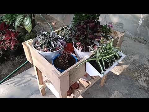 Front Porch Plant Stand Design Ideas | DIY Summer Project