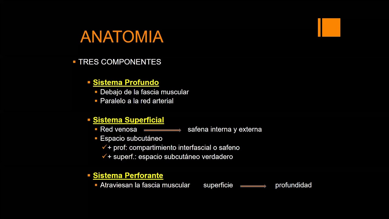 Reunión Científica Virtual 19/11/2020 - Doppler en la Insuficiencia Venosa