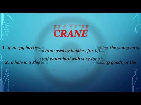 Words with two or more meanings