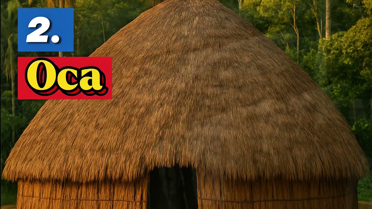 TIPOS DE MORADIA - Curiosidades