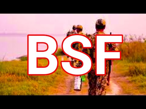 what is BSF | full form of BSF | BSF kya hai | meaning of BSF | BSF | BSF stands for | fulltell