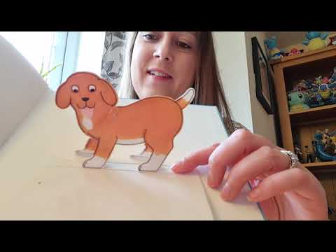 Story Time with Mrs Gray: Dear Zoo by Rod Campbell