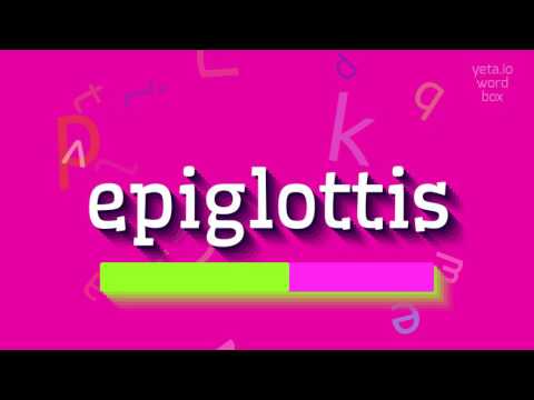 How to say "epiglottis"! (High Quality Voices)