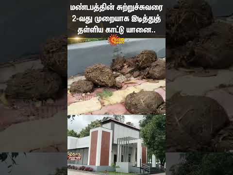 Coimbatore | Elephant Attack | Tamil Nadu | Damage | Sun News