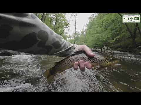 Fly Fishing - Ken Lockwood Gorge May 13, 2024