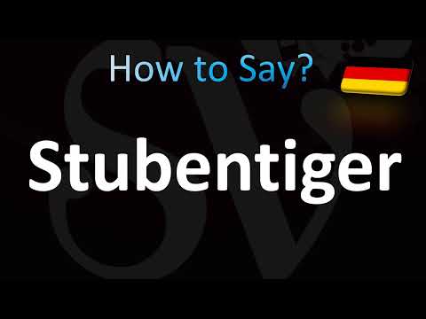 How to Pronounce ''Stubentiger'' Correctly! (German)