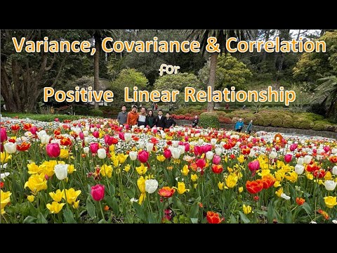 VARIANCE, COVARIANCE, & CORRELATION FOR POSITIVE LINEAR RELATIONSHIP