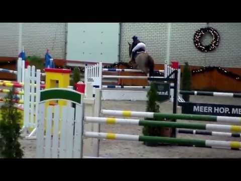SA Stables 10j by Voltair 140m Montford