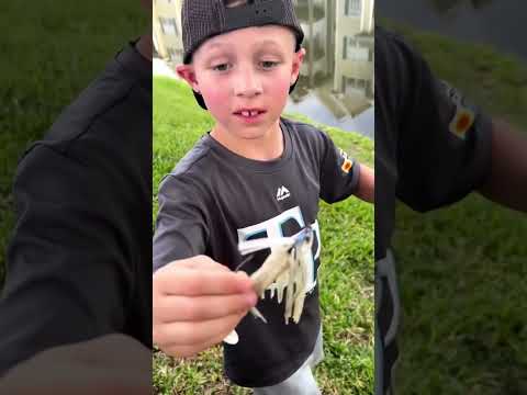 What you throwing !?