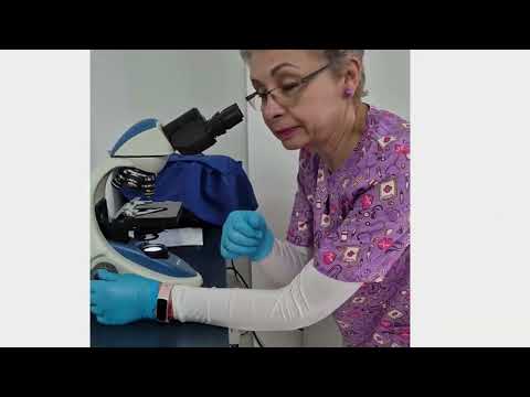 137 - SEBIOCLIP y SEBIOCLI Nacional
